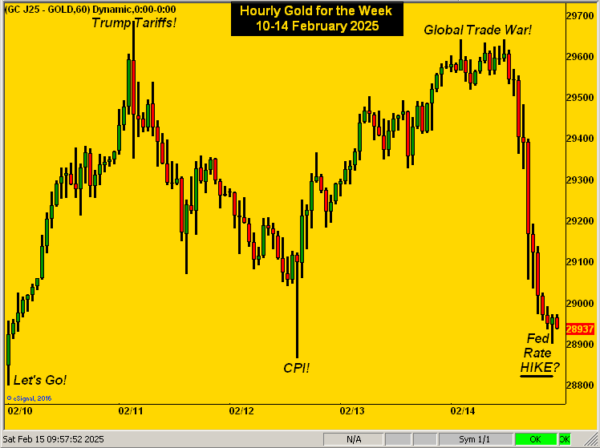 The Gold Update: No. 796 – (15 February 2025) – “Gold’s Price Spike ...